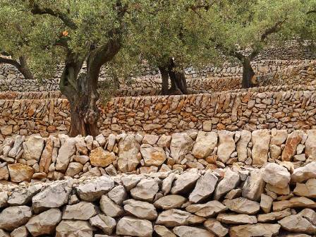 Construir con piedra seca – El Informatiu