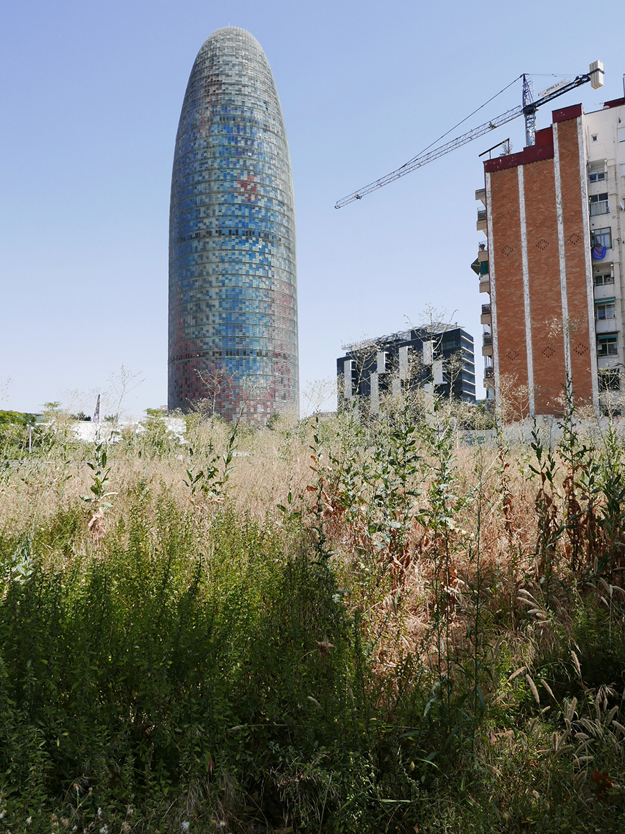 “Belleza y poder” – Monumentos, arte público o hitos urbanos – El ...